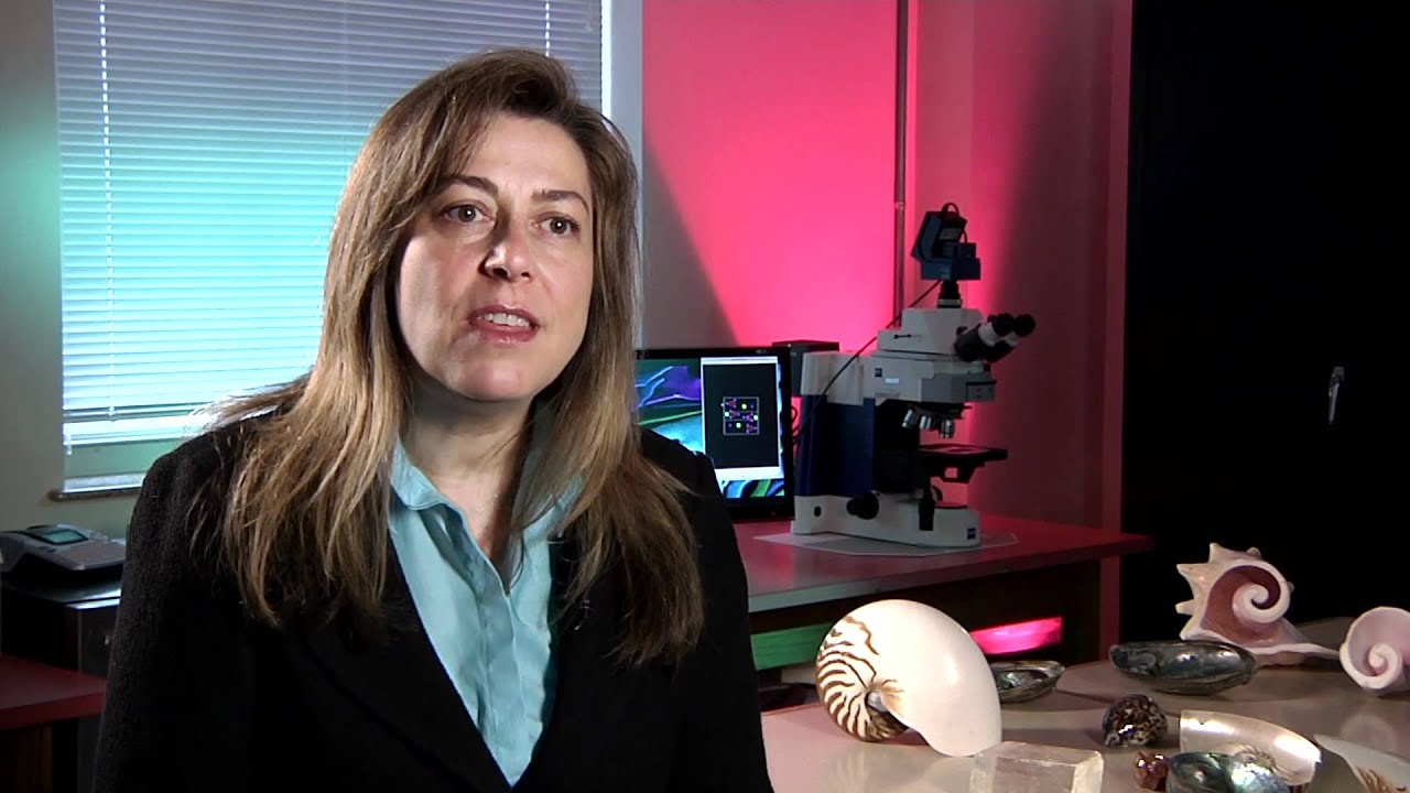 Mother of Pearl Divulges Ocean Environment
