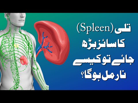 Spleen Enlargement Treatment in Urdu | Tilli ka size berh jana