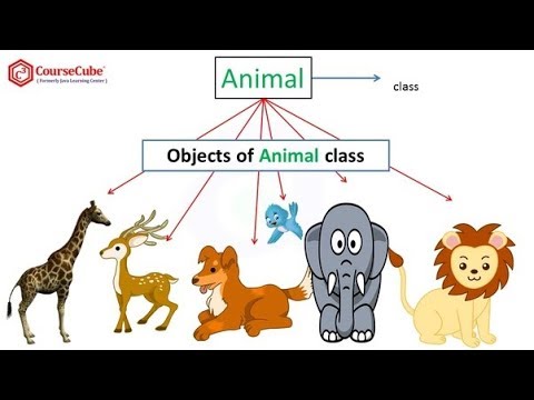 CLASS AND OBJECT WITH EXAMPLE IN REAL WORLD