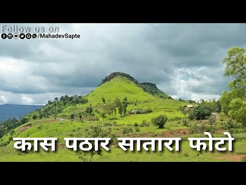 kas pathar photo- by- mahadev sapte | Kas Pathar-(valley of flowers ...