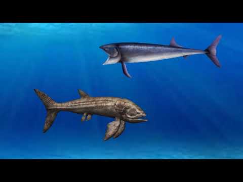 Leedsichthys facts