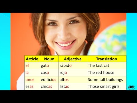 Learn Spanish: Number & Gender Agreement for Spanish Nouns Adjectives and Articles