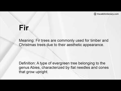 Fir Meaning