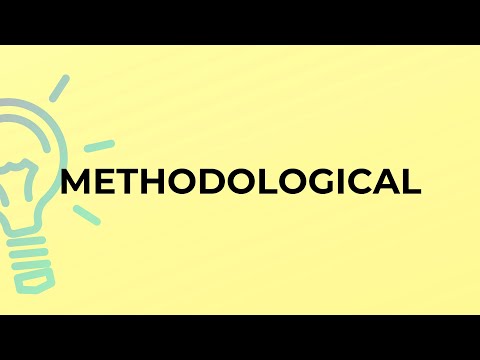 What is the meaning of the word METHODOLOGICAL?