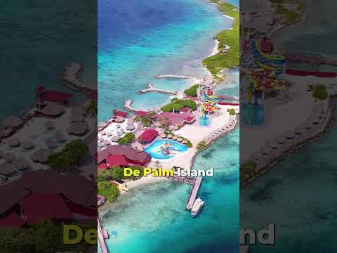 Aruba’s Top 5 Must-Visit locations | Unveiling Paradise 🏝️