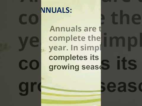 Annuals #education #shorts
