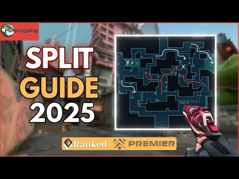 How to Actually Play Split (In Just 8 Minutes)