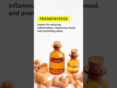 Here's your quick guide to the world of essential oils!