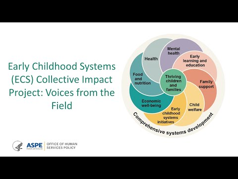 Early Childhood Systems (ECS) Collective Impact Project: Voices from the Field