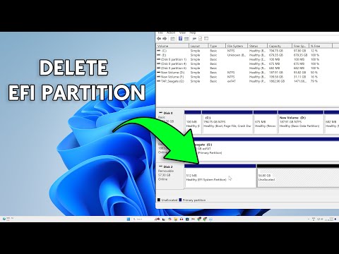 How To Delete or Remove EFI System Partition on Windows 11/10