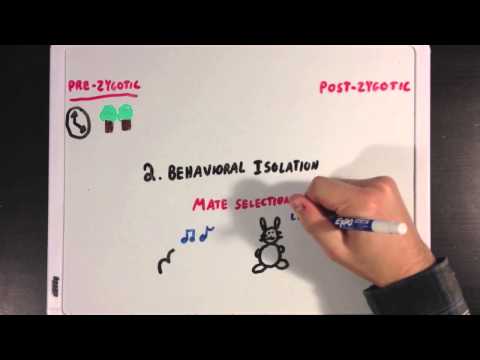 Reproductive Isolation