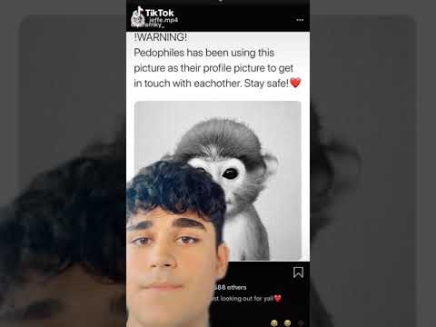 Monkey profile picture Tiktok meme
