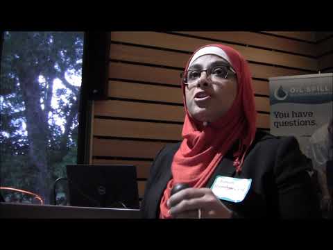 Dr. Samira Daneshgar-Asl, Use of Saildrone to study natural oil seeps in the Gulf of Mexico