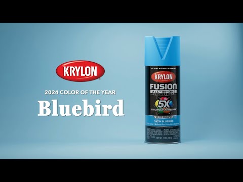 Krylon® 2024 Color of the Year