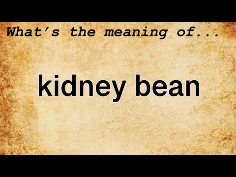 Kidney Bean Meaning : Definition of Kidney Bean