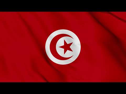 Tunisia Flag Waving Background | HD | ROYALTY FREE