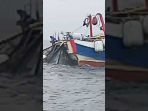 Ganito magkubra ang Purse Seiner sa Su-ao