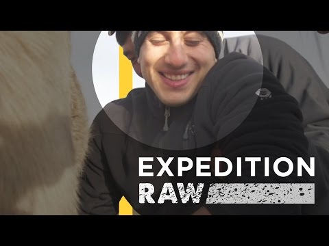 Unsurprisingly, American Explorer Terrible at Milking Cows | Expedition Raw
