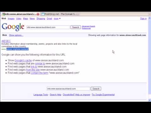 Google's "info" Search Query Term