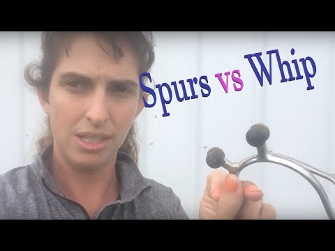 Whips & Spurs: why, when, and which to use in your Riding.