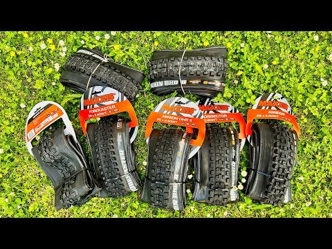WELCHEN DIESER REIFEN SOLLTEST DU MONTIEREN? | Maxxis