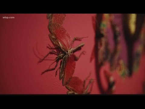 Bugsgiving: A dining experience with chef Joseph Yoon of Brooklyn Bugs