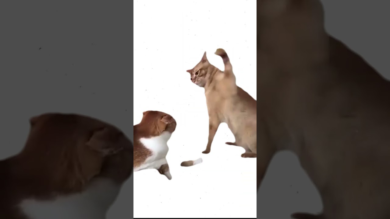 Autism explained with michis