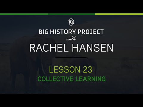 Lesson 23: Collective Learning | BHP with Rachel Hansen