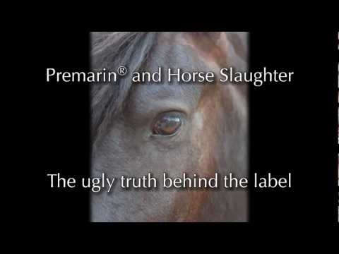 Premarin and the ugly truth behind the label – Tuesday's Horse