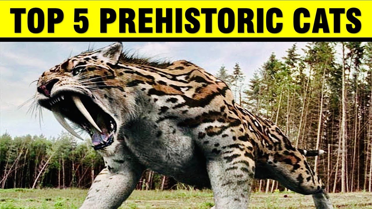 Top Five Scariest Prehistoric Cats