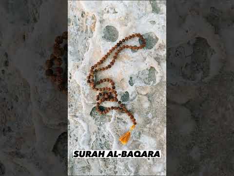 SURAH AL-BAQARA |Ayat 102| Recitation by Mishary Rashid Alafasy | Islam The Heavenly Path