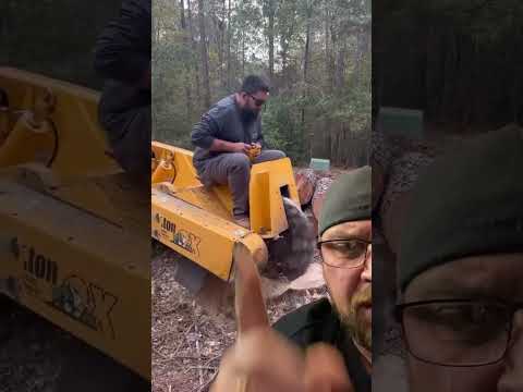 Stump Grinder Cowboy