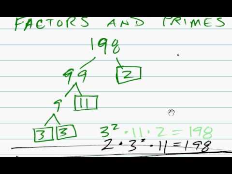 factors and primes and 192