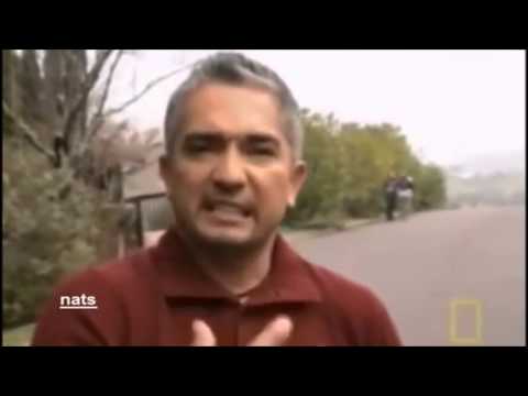 Cesar Millan and Shadow: another educational example of improper handling