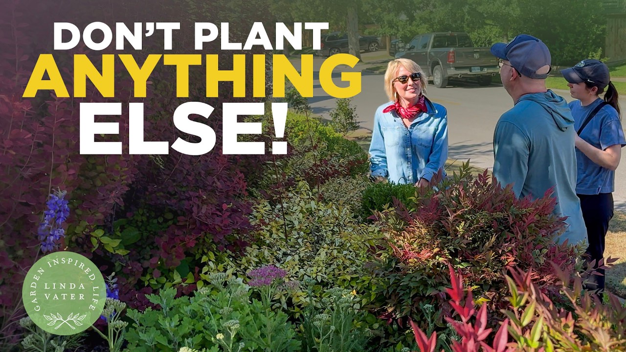 Don’t Plant Anything Else! Why I Only Use This Boxwood + Behind the Scenes Garden Tour | Linda Vater