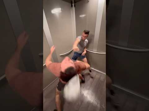 Monday chuckles | bluebird of bitterness