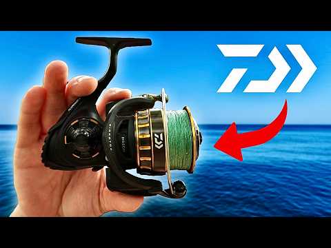 Daiwa BG 3000 - The Only Spinning Reel You’ll Ever Need
