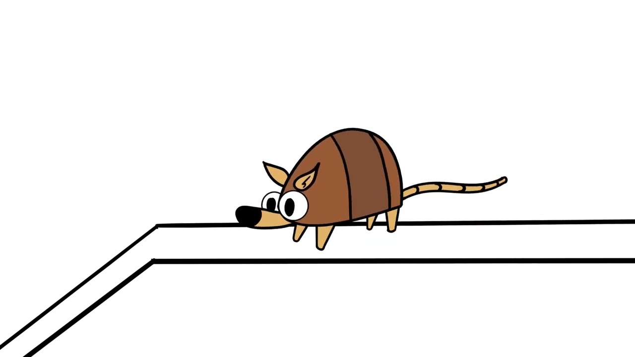 Armadillo rigged animation
