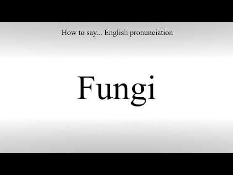 How To Pronounce Fungi - How To Say: American pronunciation