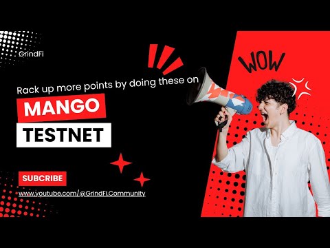 HOW TO INTERACT WITH THE MANGO TESTNET BY SWAP, BRIDGE, CHECK-IN