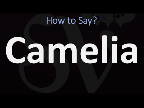How to Pronounce Camelia? (CORRECTLY)