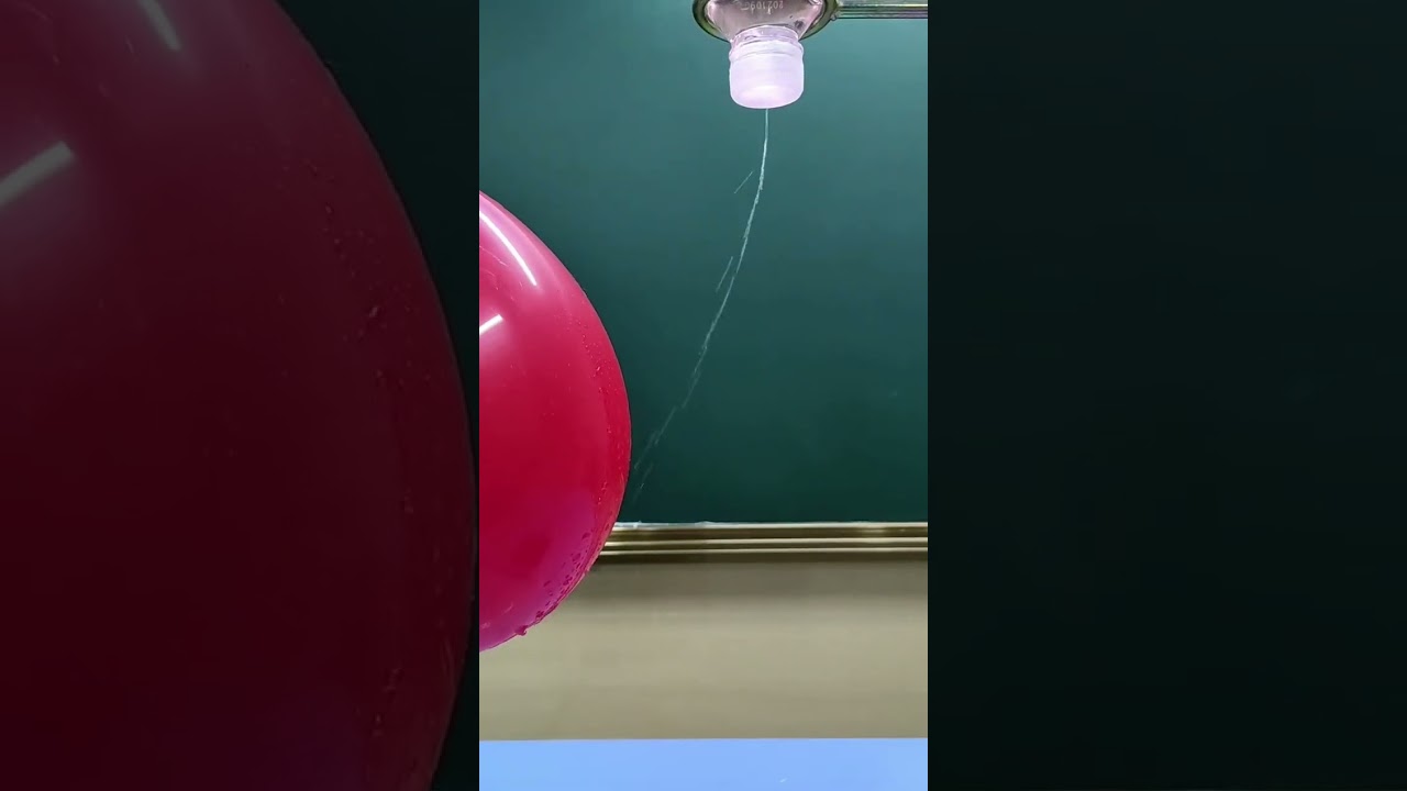 Balloon Water Absorption Experiment #balloonexperiment #waterabsorption #sciencefun