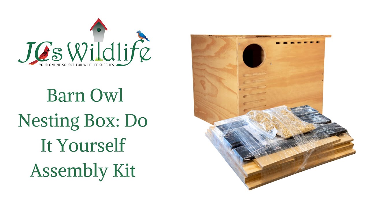 DIY Barn Owl Kit Assembly