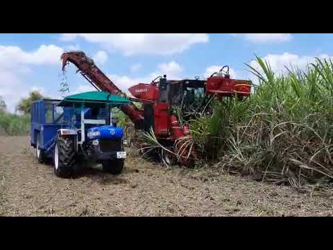 Combine Harvester and Sugarcane Harvester Manufacturer | Cnh Industrial ...