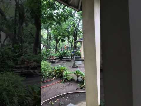 DLSU-D Botanical Garden 🪴