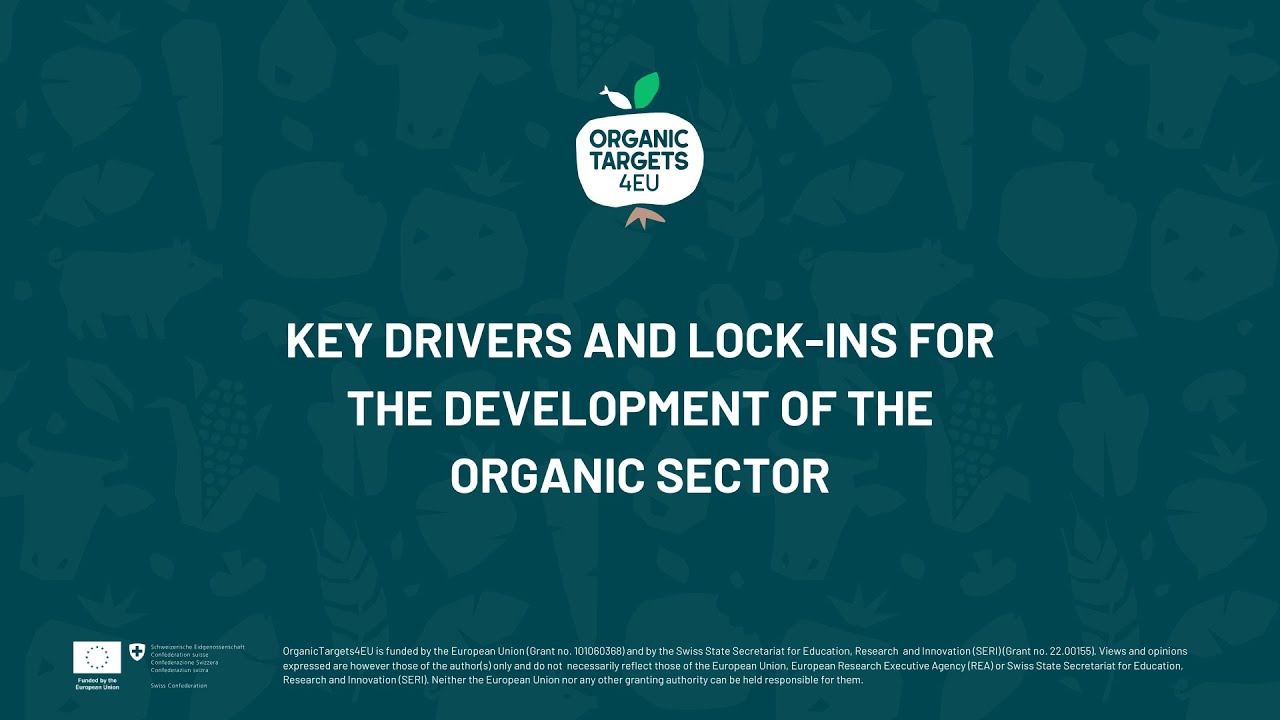 Key Drivers and Lock-Ins for the Development of the Organic Sector | OrganicTargets4EU