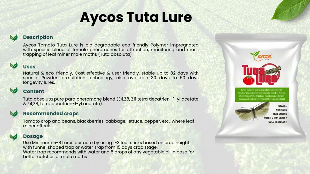 🌿 Protect Your Crops with Aycos Tuta Lure 🌿