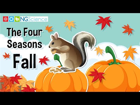 The Four Seasons – Fall