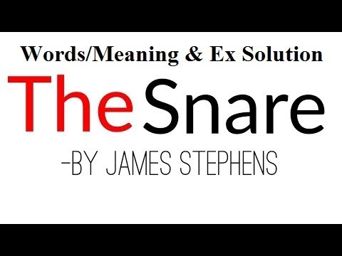 The snare Words/meaning & Ex Solution