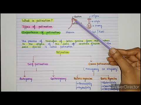 pollination | types of pollination | self pollination and cross pollination | what is pollination
